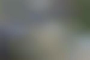 Alternative Homeless Shelters: The EDAR Project Provides Mini Mobile Units