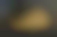 5-Star Pet Hotels: The Canis Dog Resort is Only for Well-Heeled Patrons