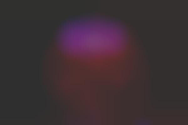 Multi-Sensory Candy Events : The Sound of Flavourites