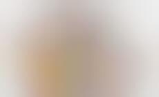 Animalistic Sticky Notes : Cat Pads