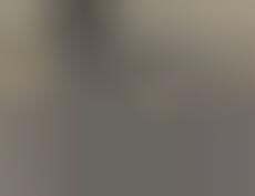 Full-Size Folding Bikes : adult bike