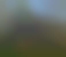 Boxy Waterfront Residences : Waterfront Residence