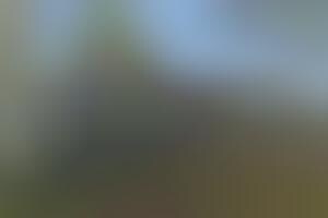 Boxy Waterfront Residences : Waterfront Residence