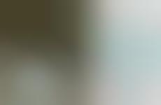 Insect Repellant Air Purifiers : insect repellant