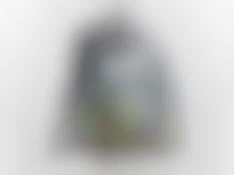 Portable Aquarium Knapsacks : clear backpack