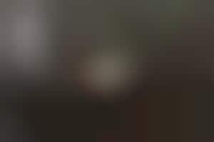 Vintage Polish Family Photography : Richard Tuschman