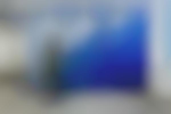 Soft Customizable Room Dividers : room dividing