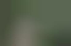 Futuristic Cemetery Concepts : Sylvan Constellation