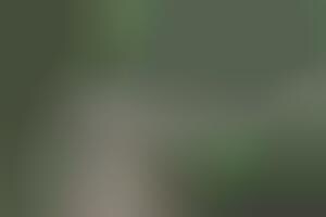 Futuristic Cemetery Concepts : Sylvan Constellation