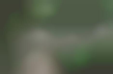 Futuristic Cemetery Concepts : Sylvan Constellation