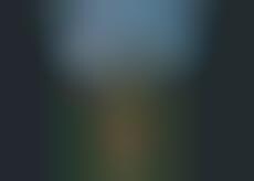 Tubular Tree Abodes : Aibek Almassov