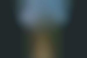 Tubular Tree Abodes : Aibek Almassov