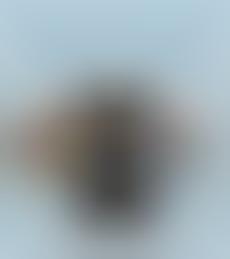 Dating App Election Filters : Election Filters