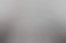 Abstract Paper Sculptures : Marit Roland