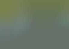 Sea Tree Planters : Sea Defense