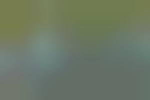 Sea Tree Planters : Sea Defense