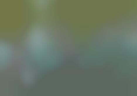 Sea Tree Planters : Sea Defense