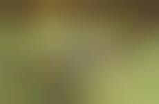 Fatigued Model Portraits : Elena Pirogova