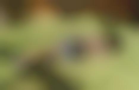 Fatigued Model Portraits : Elena Pirogova