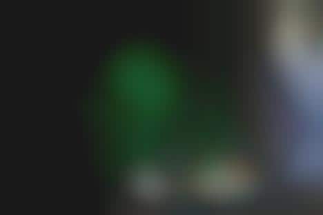 Neon Cactus Lamps : Neon Cactus