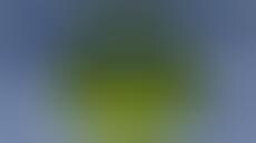 Driverless Racing Cars : Daniel Simon