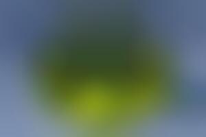 Driverless Racing Cars : Daniel Simon