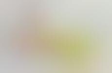 Color Pencil Packaging : Coloroid by Jialu Li