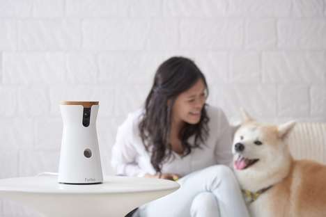 Treat-Dispensing Pet Cameras : pet cam