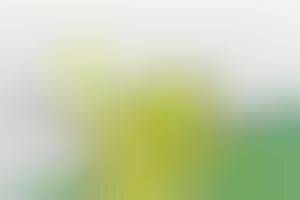 Tennis Ball-Inspired Sneakers : Addict Miami x Lacoste L!VE