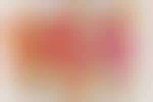 Mess-Free Curry Dishes : portable curry