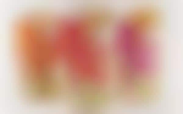 Mess-Free Curry Dishes : portable curry