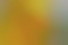 Chic Cheese Handbags : Cheese Handbag