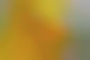 Chic Cheese Handbags : Cheese Handbag