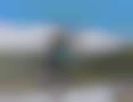 Four-Person CrossFit Training Tools : Rogue 4 Person Worm