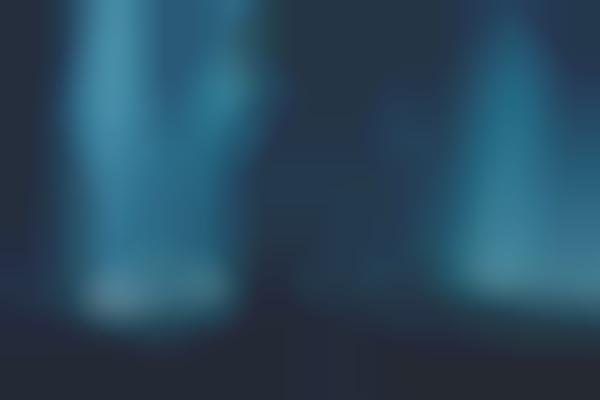 Interactive Forest Retail Experiences : retail experience