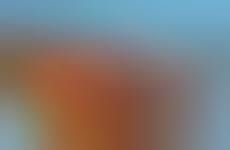 Boxed Wine Backpacks : Wine Dispensing Backpack