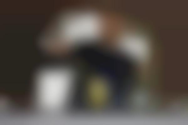 Immersive Tequila Event Tastings : Art of Patron Event Series