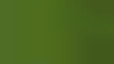 Autonomous Robot Lawn Waterers : watering system