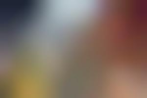 Virtual Celebrity Pelting: PETA's ‘Fur Hag' Snowball Fight Game