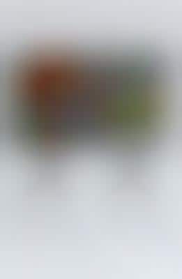 Typography Wall Decorations: For Interior Design, Words on Walls Work