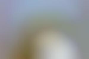 Hip Breadboxes: 10 Stylish Ways To Stash a Loaf of Bread To Sustain ...