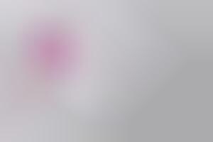 Crystal Computer Accessories: Award Winning Glitzy Swarovski Mouse