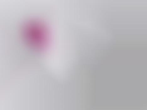 Crystal Computer Accessories: Award Winning Glitzy Swarovski Mouse