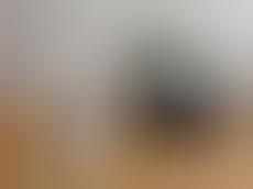 Folding Guest Rooms: “Stay at My Home” Small-Space Sleepover Solutions