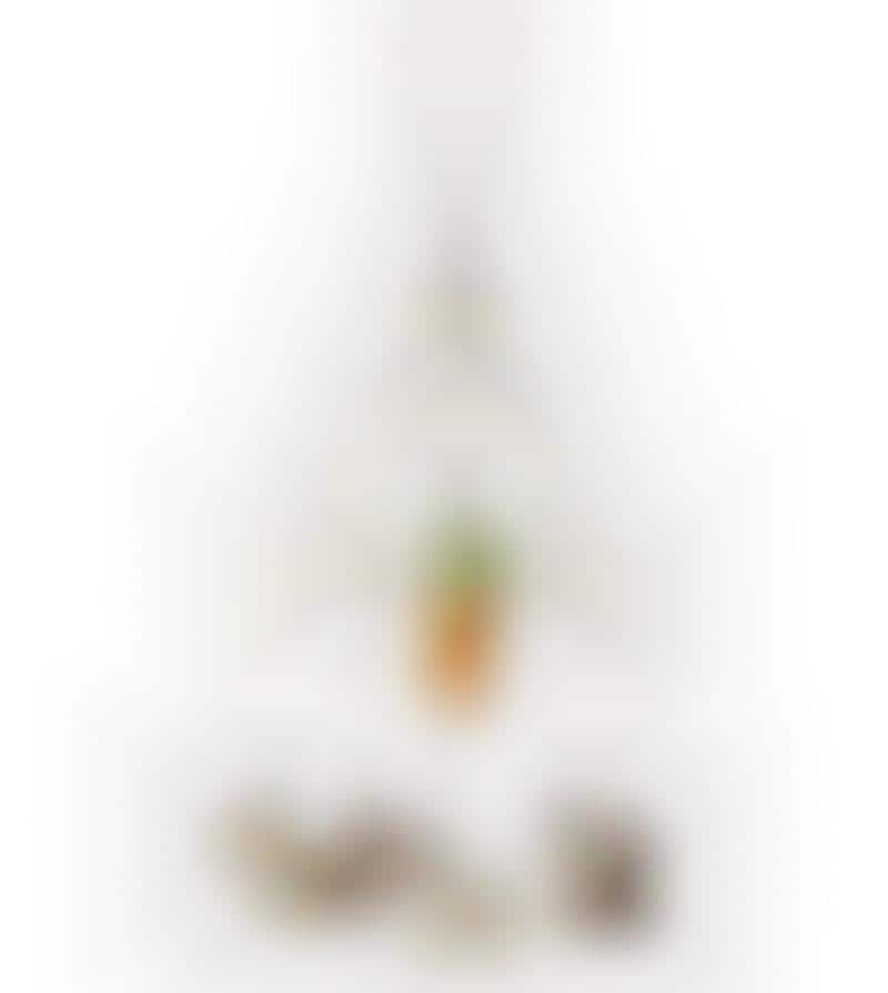 50 Gender-Neutral Gift Ideas