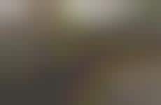 Powerful Shatterproof Tablets : cheap tablet