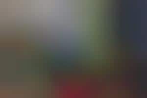 Interactive Science Exhibits : Discovery Rooms