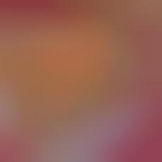 Edible Pizza Boxes : pizza box made out of pizza