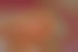 Edible Pizza Boxes : pizza box made out of pizza