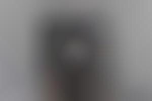 Comfy Privacy Work Chairs : work chair